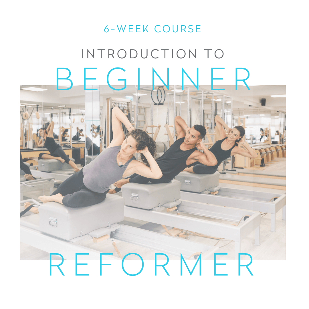 Courses & Workshops – FLEX Studio – Singapore